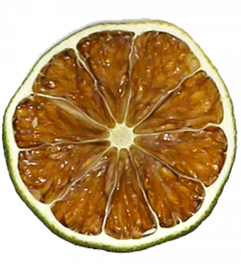 250 Lime Wheels | Dehydrated